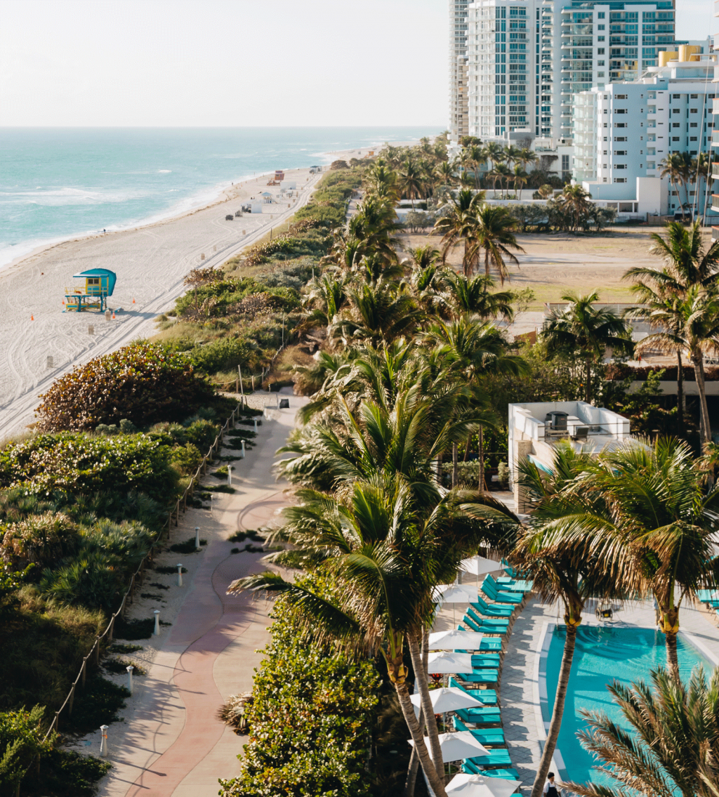 The Elevated Arrival Experience | Carillon Miami Wellness Resort